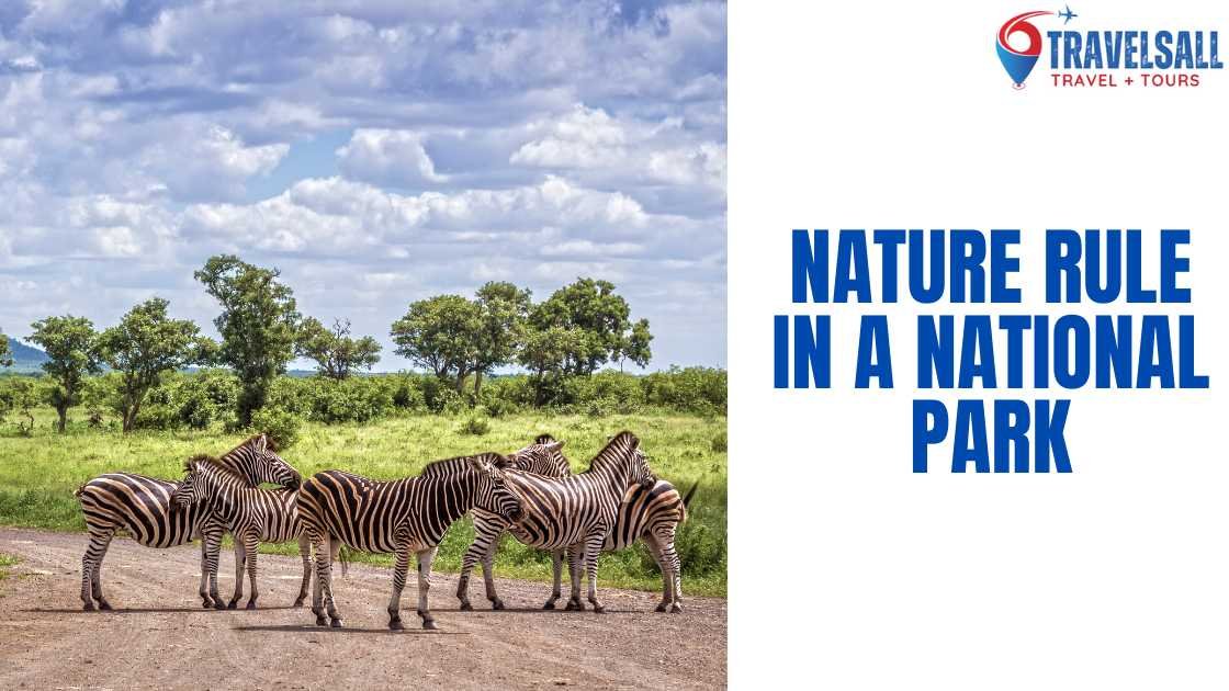 How Does Nature Rule in a National Park?