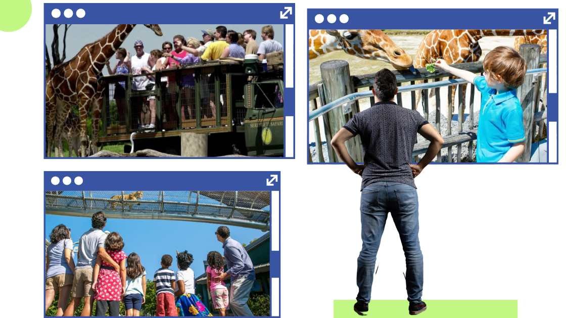 How to Travel to Zoo - Roaming with the Animals