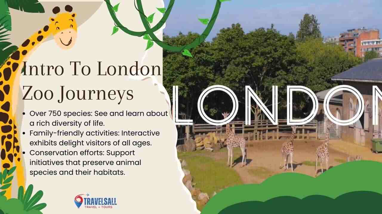 Best Way to Travel to London Zoo - Travels All
