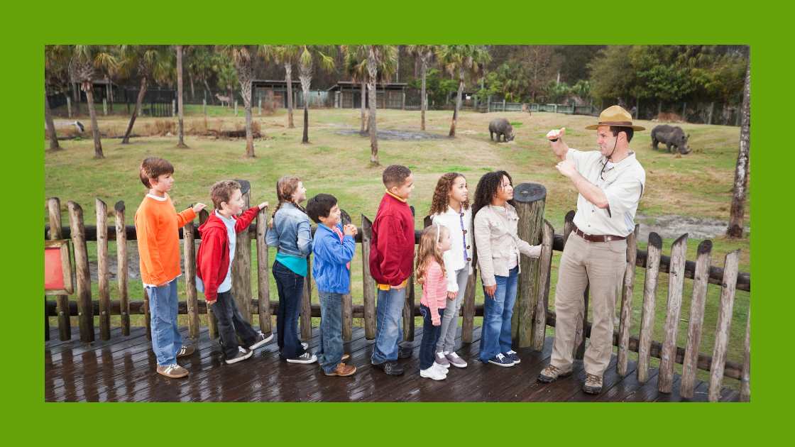 What are the Advantages And Disadvantages of Zoo?