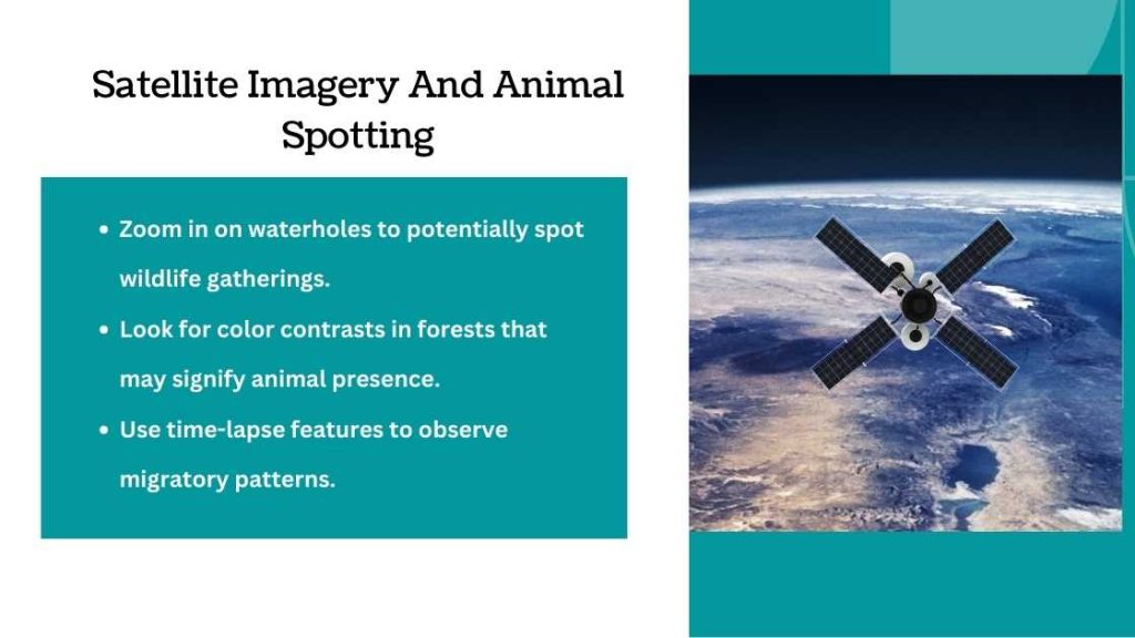 Can You See Wildlife on Google Earth? Exploring by Expert