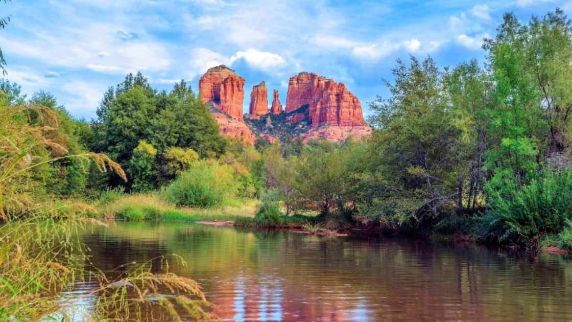 How Does Nature Rule in a National Park?