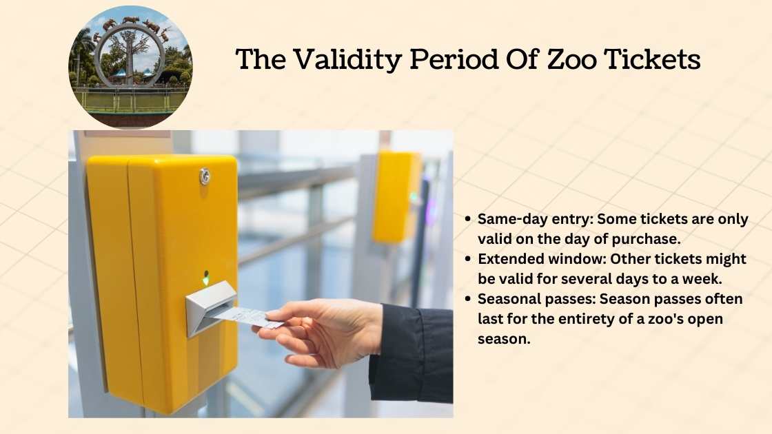How Long are Zoo Tickets Good for? Plan Your Trip Wisely