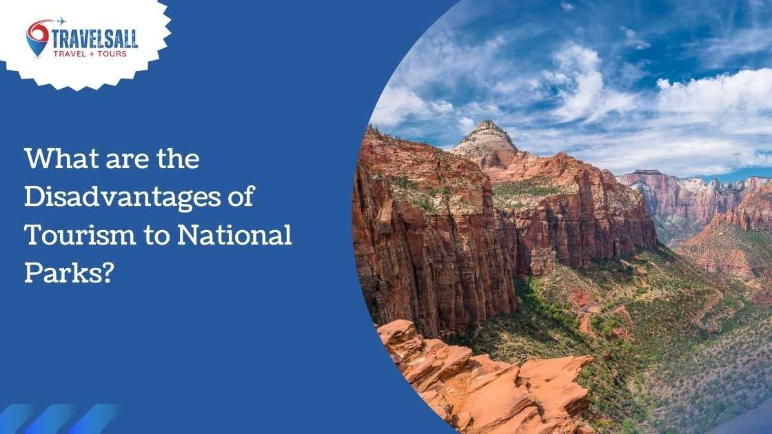 What are the Disadvantages of Tourism to National Parks?