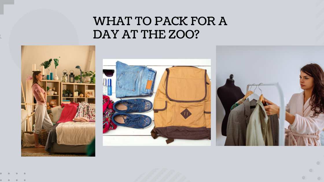 What to Pack for a Day at the Zoo-Your Complete Guide